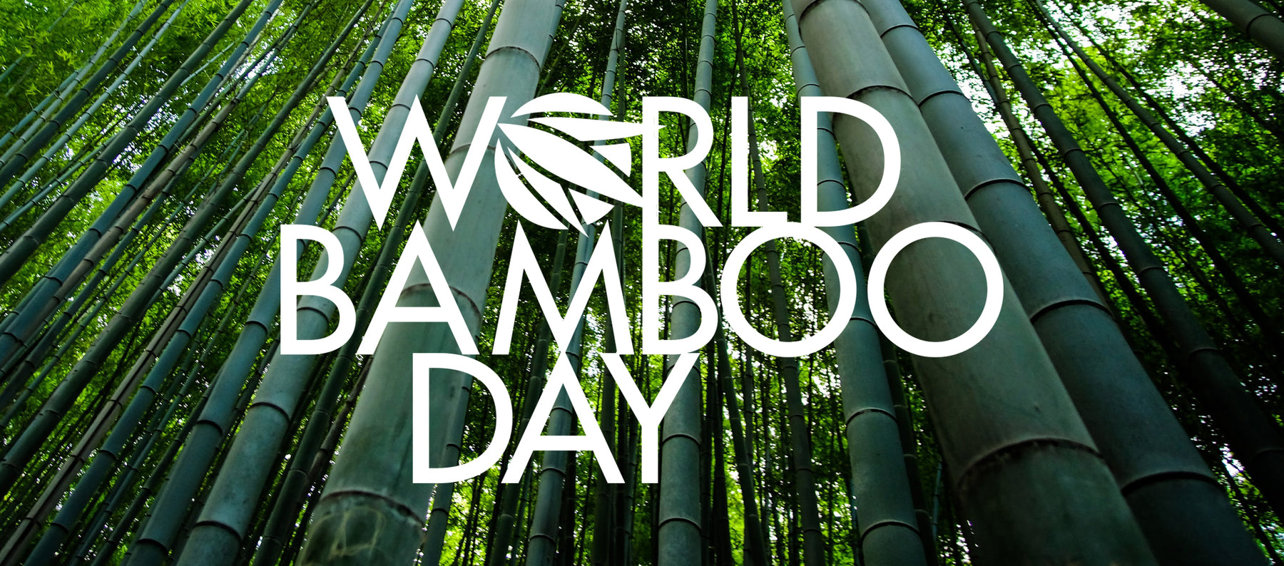 We Put the “oo” in Bamboo | MORI UK