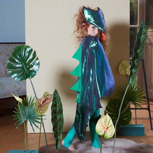 Shop Meri Meri Dragon Costume UK