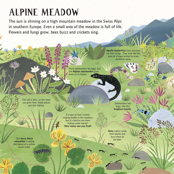 Small Worlds: Earth Book | MORI UK